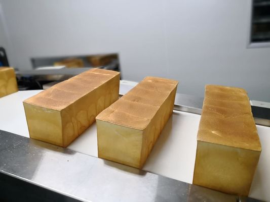 Suction Depanner Spiral Cooler Sandwich Loaf Bread Production Line